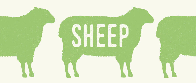 Latest News, Blog and Editorial - Lovatts Crossword Puzzles Games & Trivia